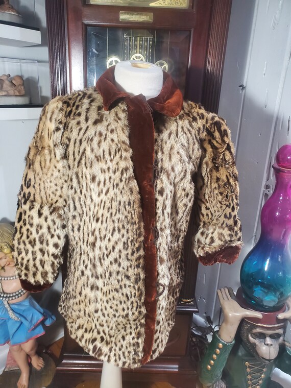 1900's real leopard Skin Child coat - Gem