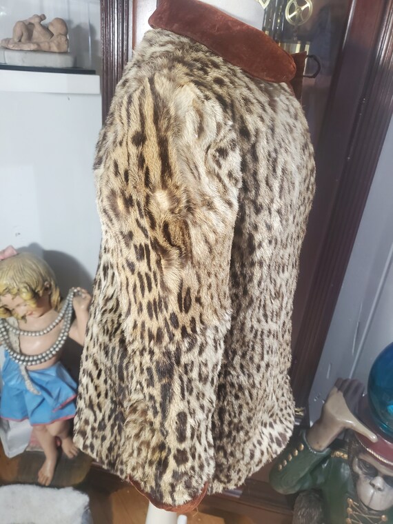 1900's real leopard Skin Child coat - Gem