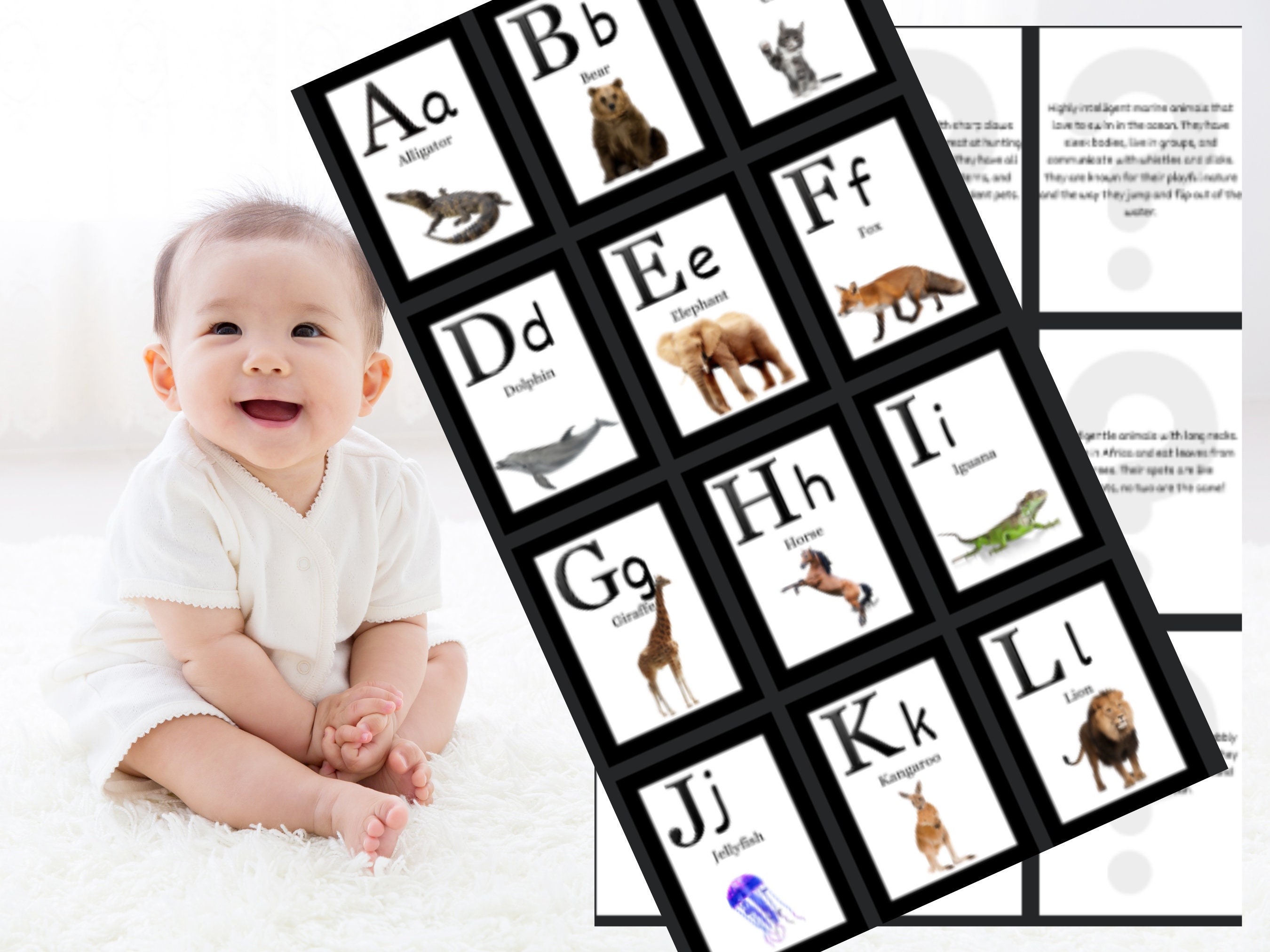 Printable Alphabet Animal Flash Cards, Facts, Educational Tools ...