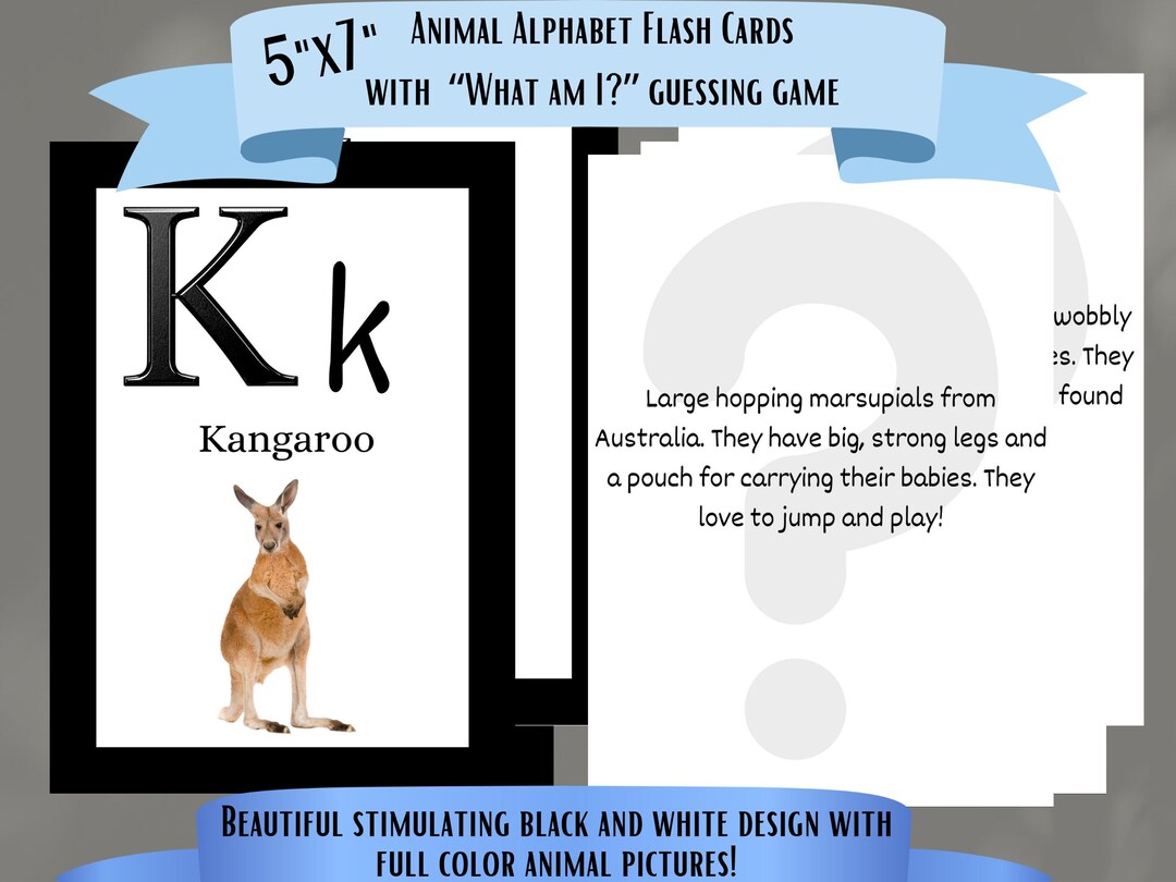 Printable Alphabet Animal Flash Cards, Facts, Educational Tools ...