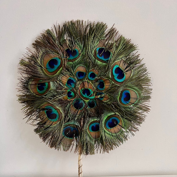 Peacock Fan - Etsy