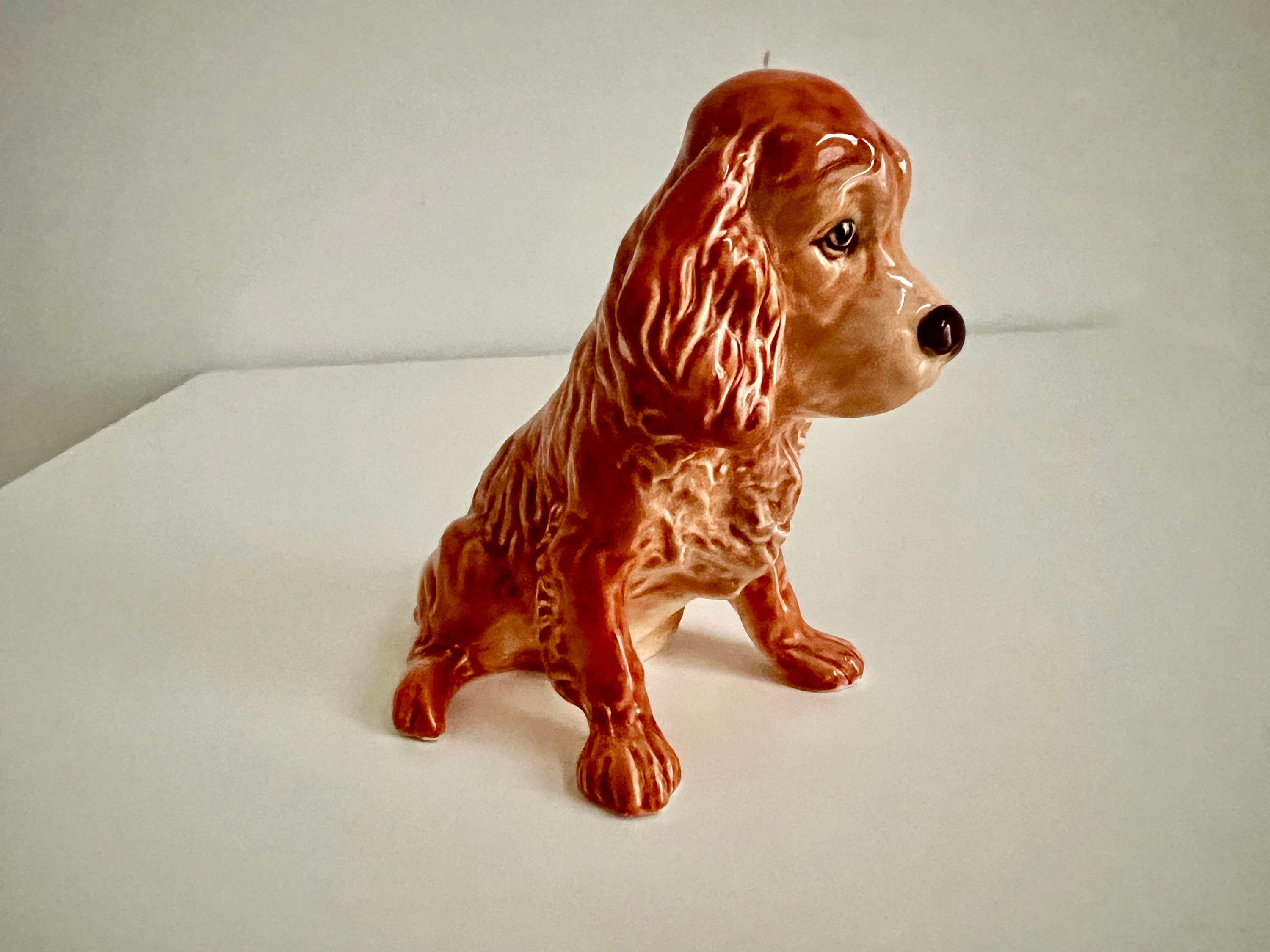 Son Raros Los Cocker Spaniel Rojos