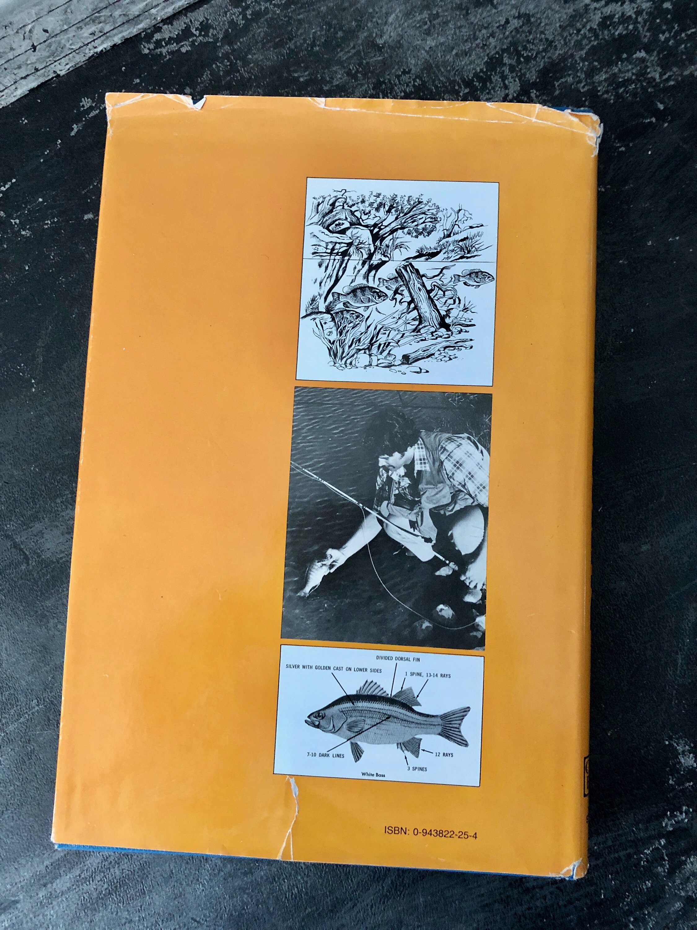 Vintage 1984 PANFISHING FISHING BOOK By F. Philip Rice Gift | Etsy