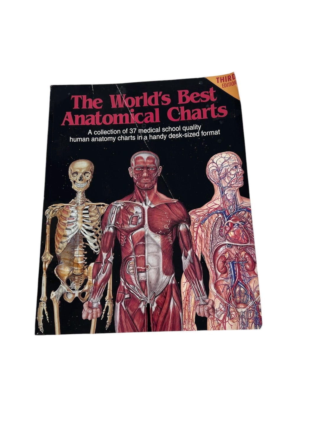 Vintage Anatomy Charts Book: 37 Full-color Medical Illustrations, 3rd ...