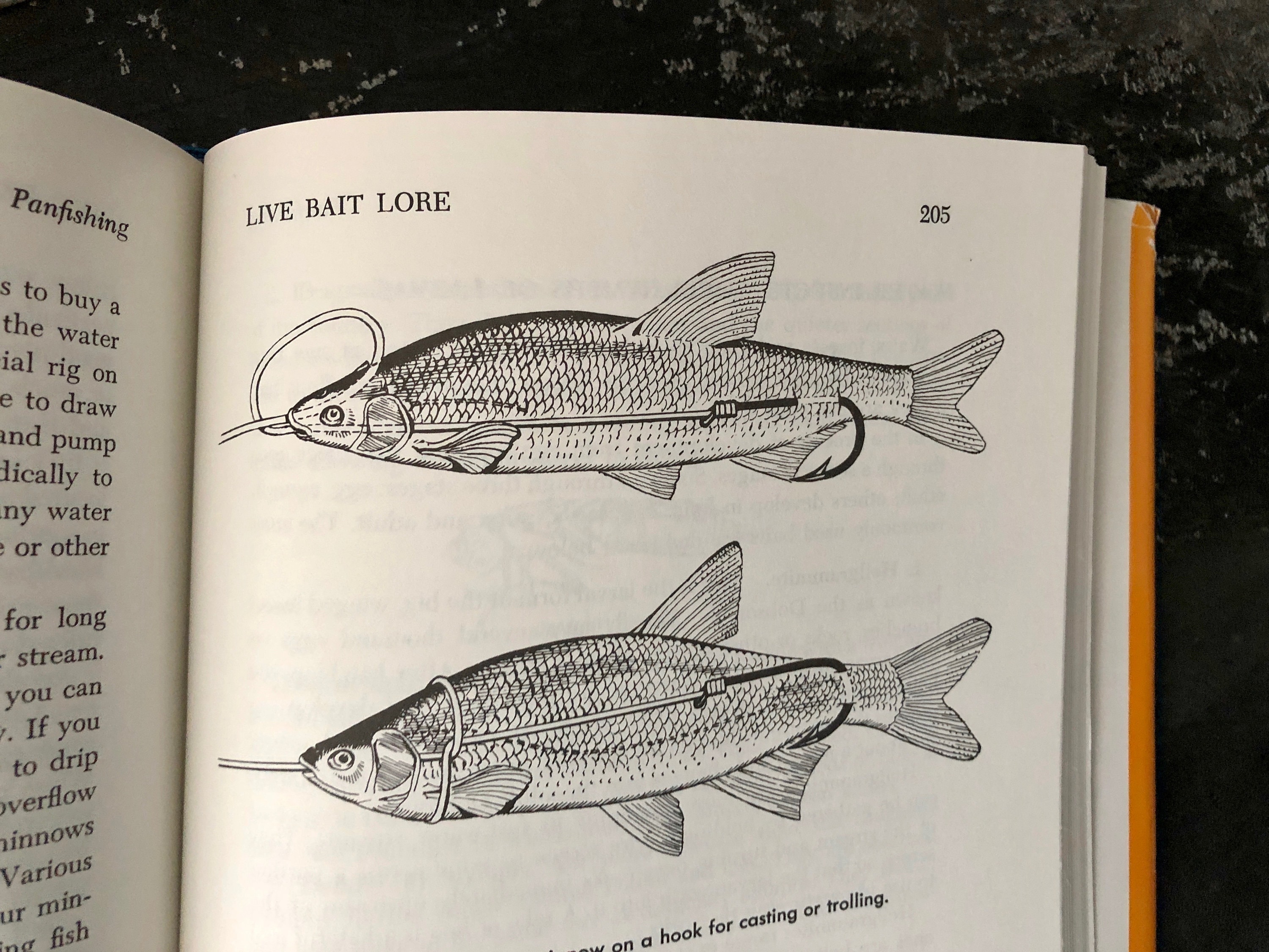 Vintage 1984 PANFISHING FISHING BOOK By F. Philip Rice Gift | Etsy