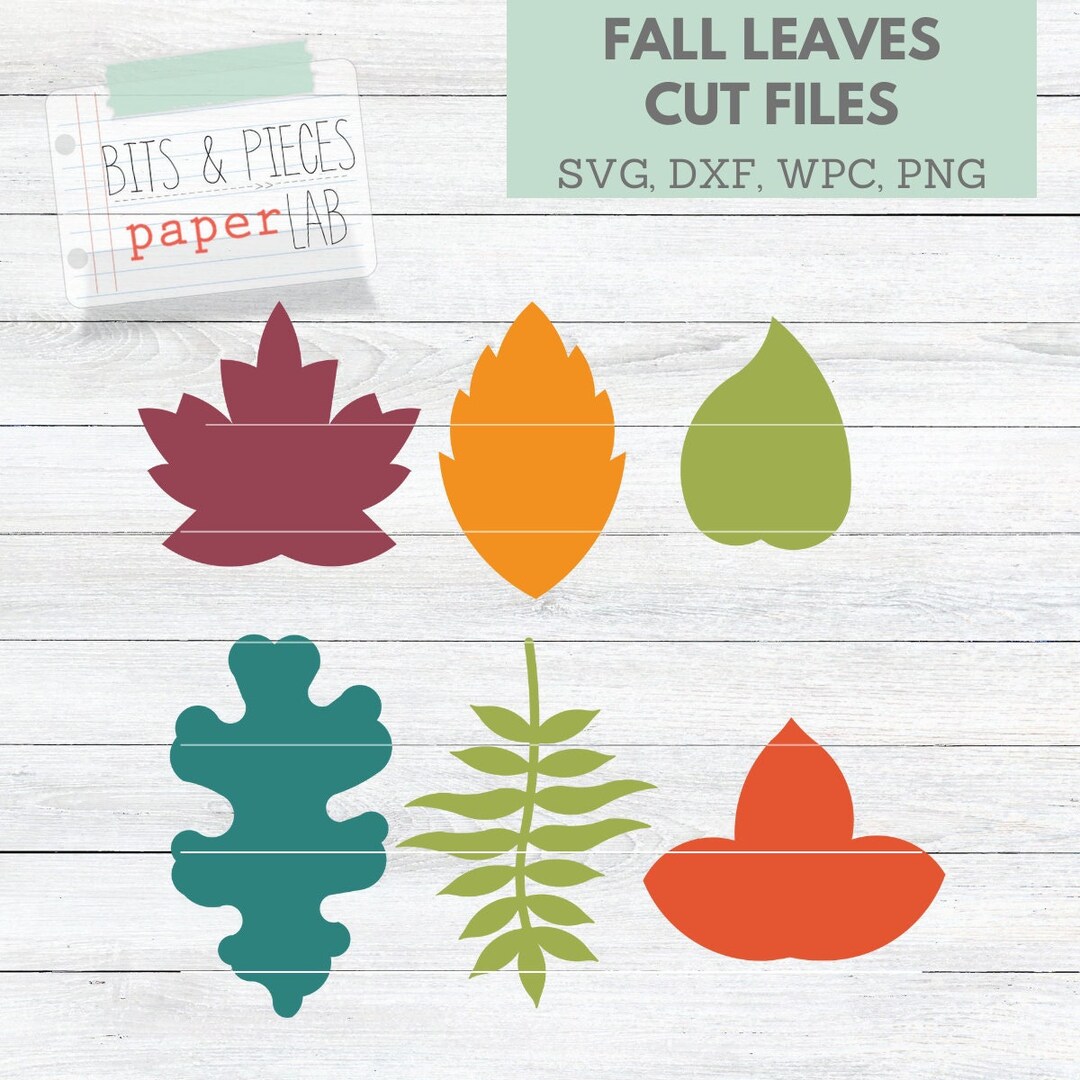 Fall Leaf SVG Autumn Leaves SVG Files for Cricut - Etsy