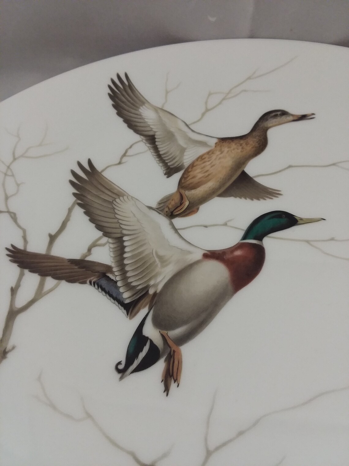 Maynard Reece Mallards Collectible Plate - Etsy