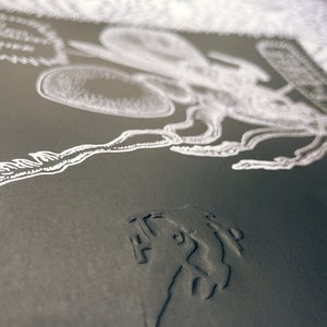 Skull Rider Comic Poster UNFOLDED 26.7" X 37.8" (680mm X 960mm) Lmtd ...