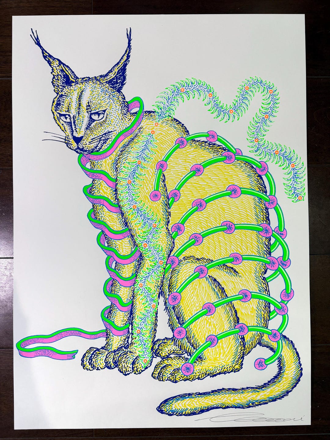 Caracal Cat Silkscreen Poster: 19.7" X 27.6" (500mm X 700mm) Limited ...