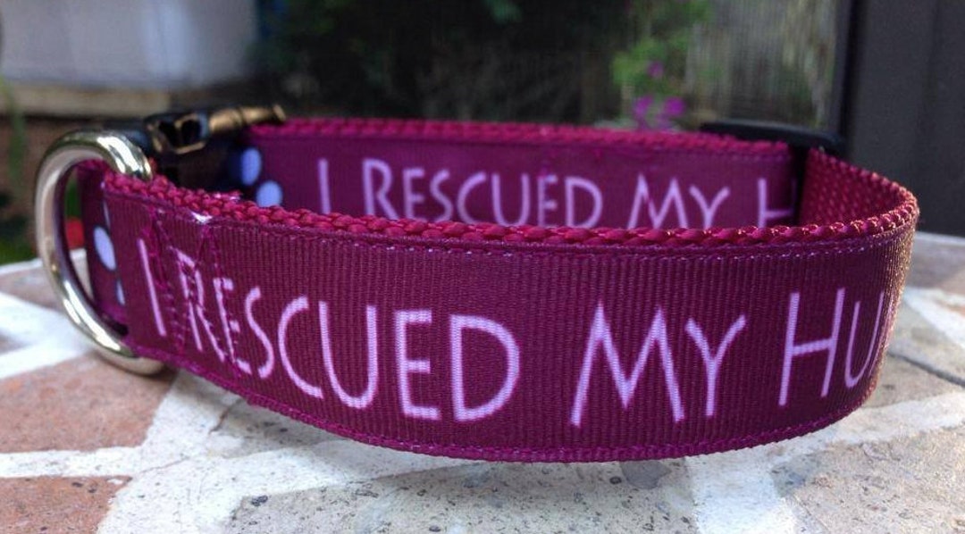 3/4" & 1" I Rescued My Human Tag Collar - Etsy