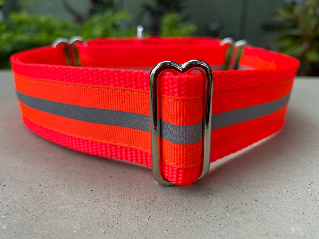 Reflective Neon Dog Collar - Etsy