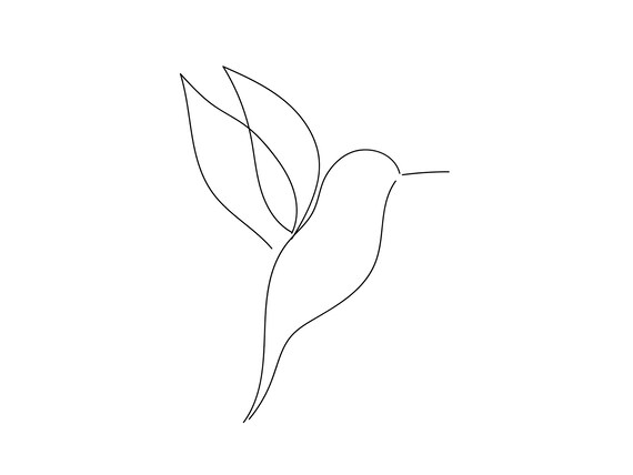 Hummingbird Outline Drawings