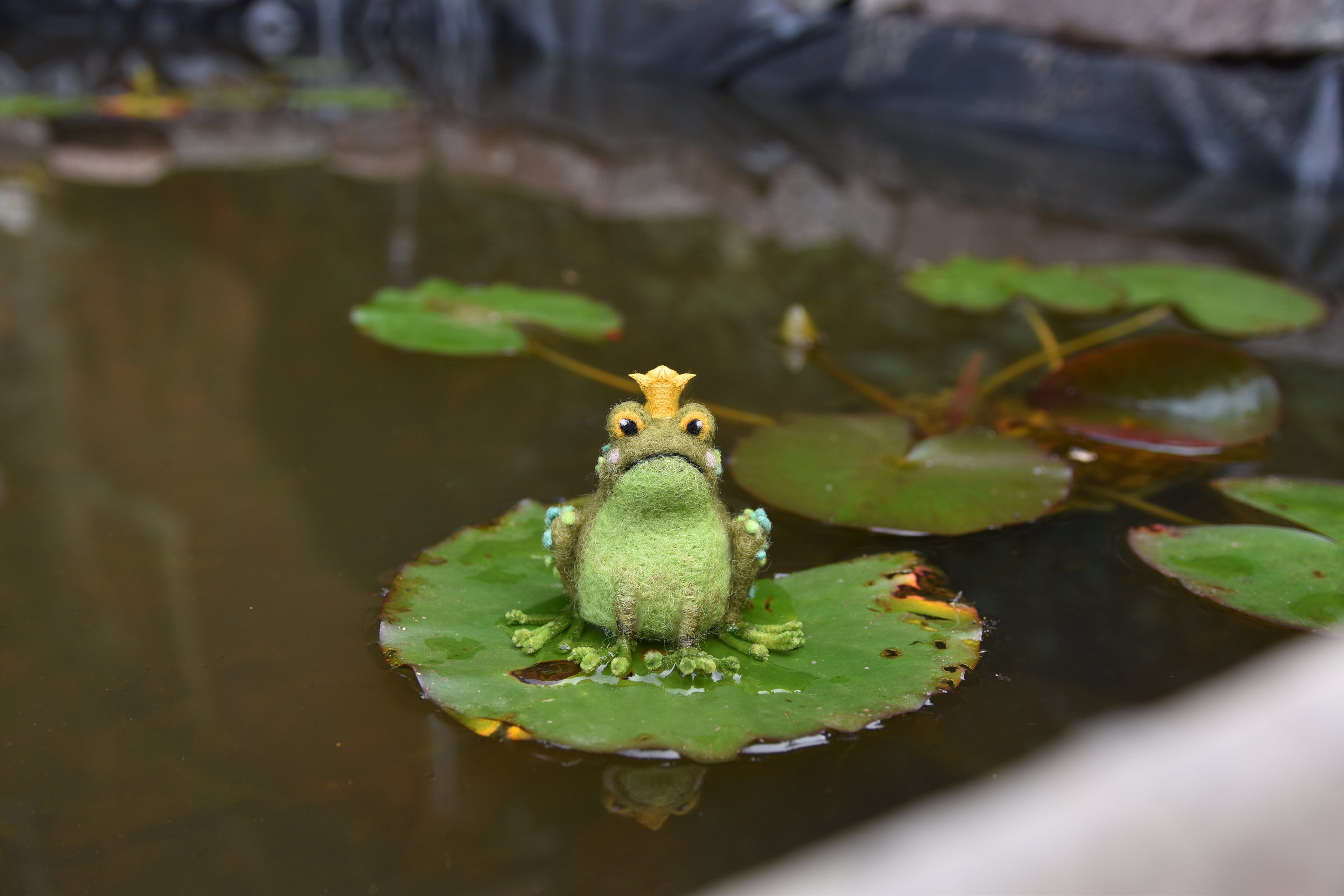 PDF FILES ‘francis the Frog’ - Instant Download - the Wishing Shed ...