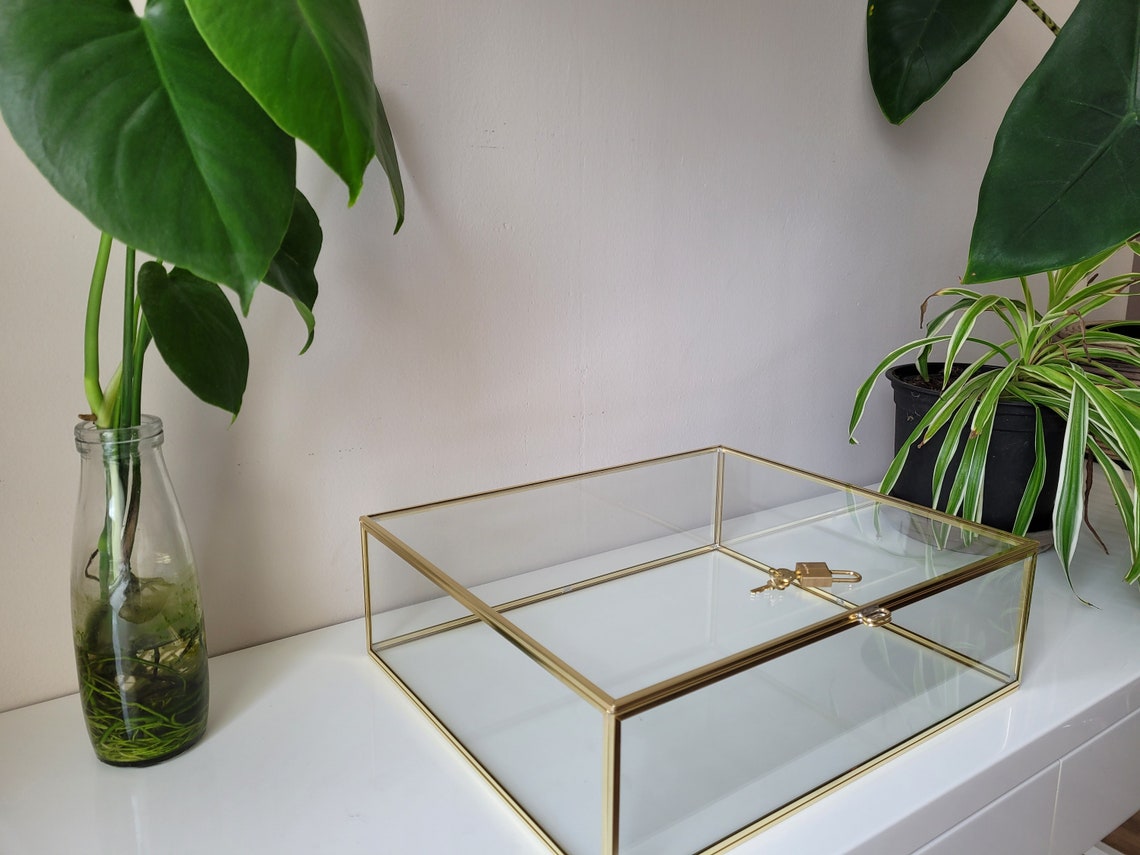 Glass Display Case 15 X 14/ 14 X 12 Brass Box | Etsy