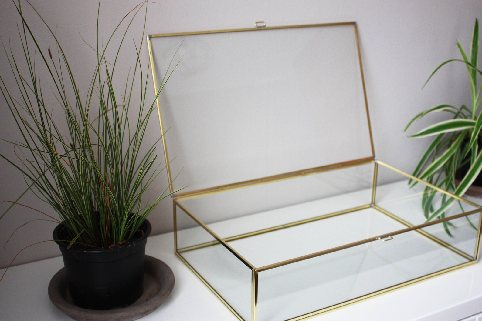 Glass Display Case 15 X 14/ 14 X 12 Brass Box | Etsy