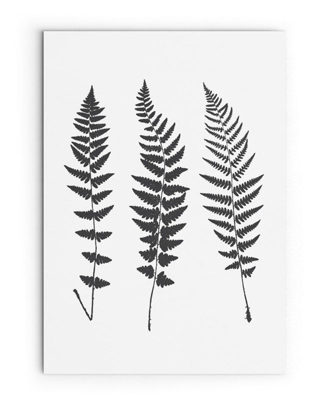 Fern Leaf PRINTABLE FILE. Graphic Plant Print. Botanical - Etsy