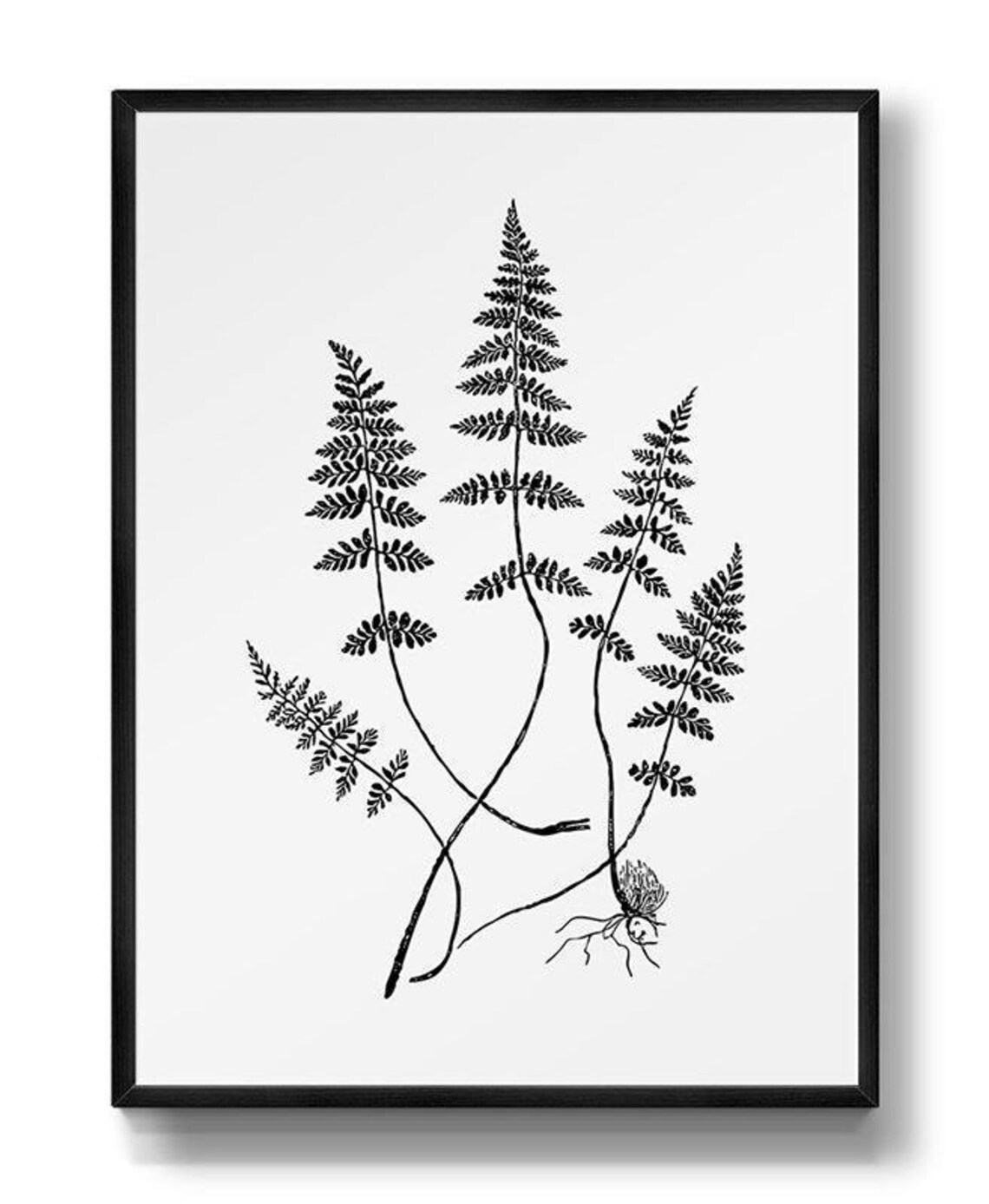 Fern Leaf PRINTABLE FILE. Graphic Plant Print. Botanical - Etsy