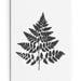 Fern Leaf - PRINTABLE FILE. Graphic Plant Print. Botanical Illustration ...