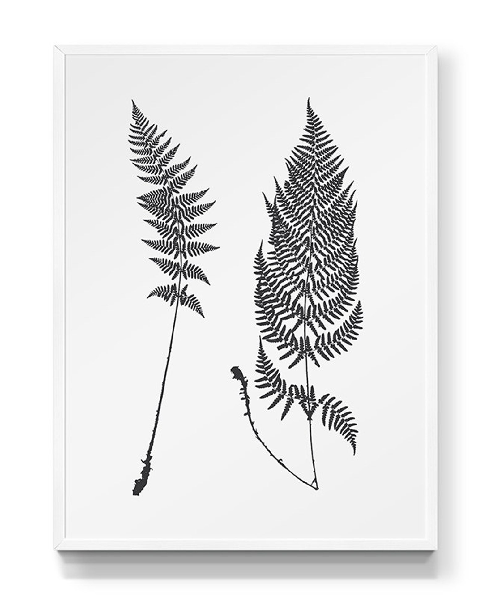 Fern Leaf - PRINTABLE FILE. Graphic Plant Print. Botanical Illustration ...