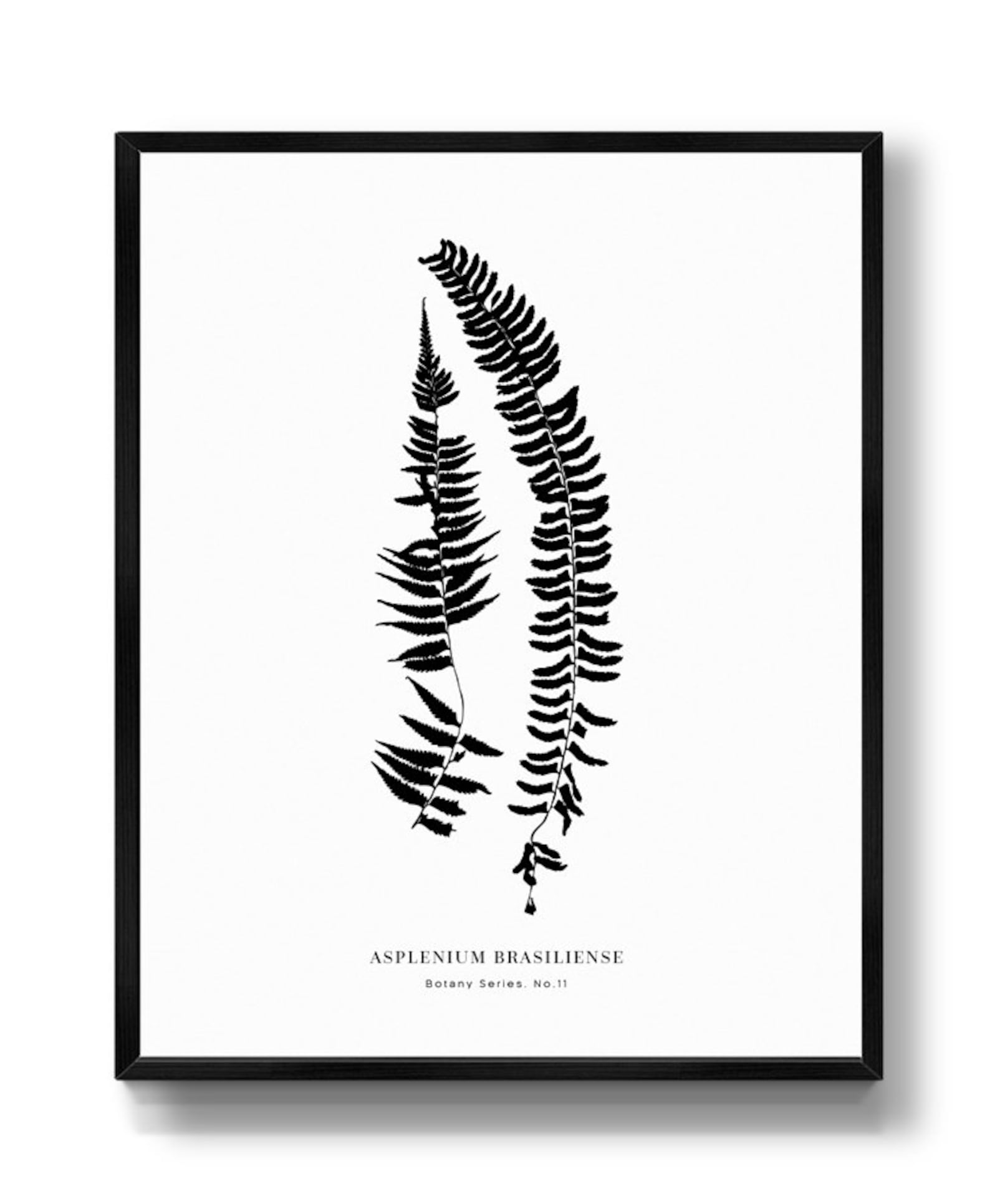Fern Leaf - PRINTABLE FILE. Graphic Plant Print. Botanical Illustration ...