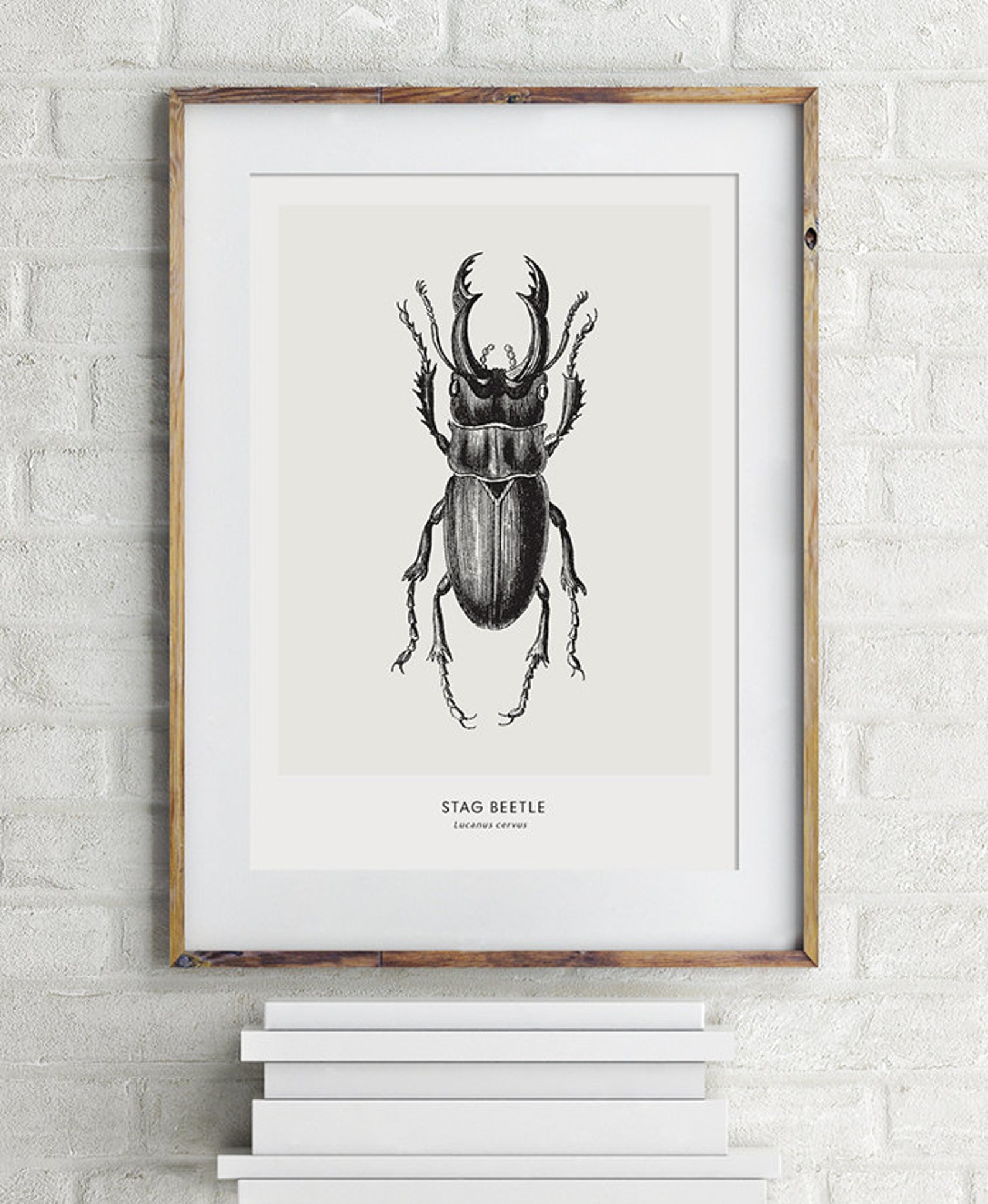 Insect Bug Print - PRINTABLE FILE. Modern Vintage Beetle Poster. Stag ...