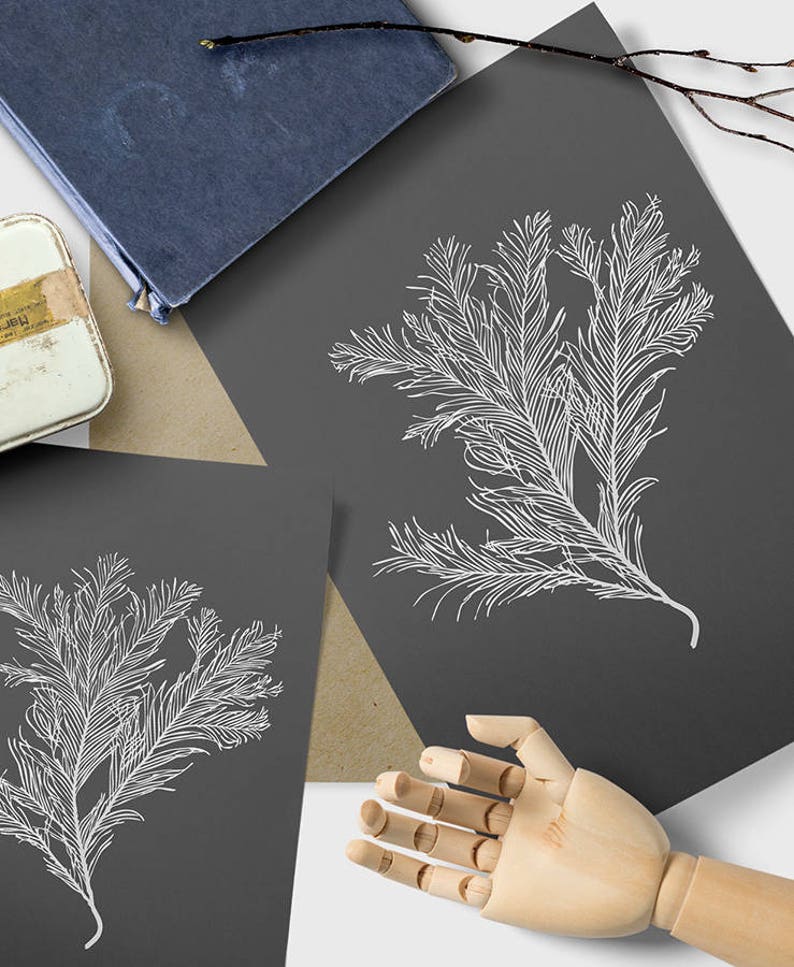 Plant Leaf Wall Art PRINTABLE FILE. Leaf Poster. Botanical | Etsy