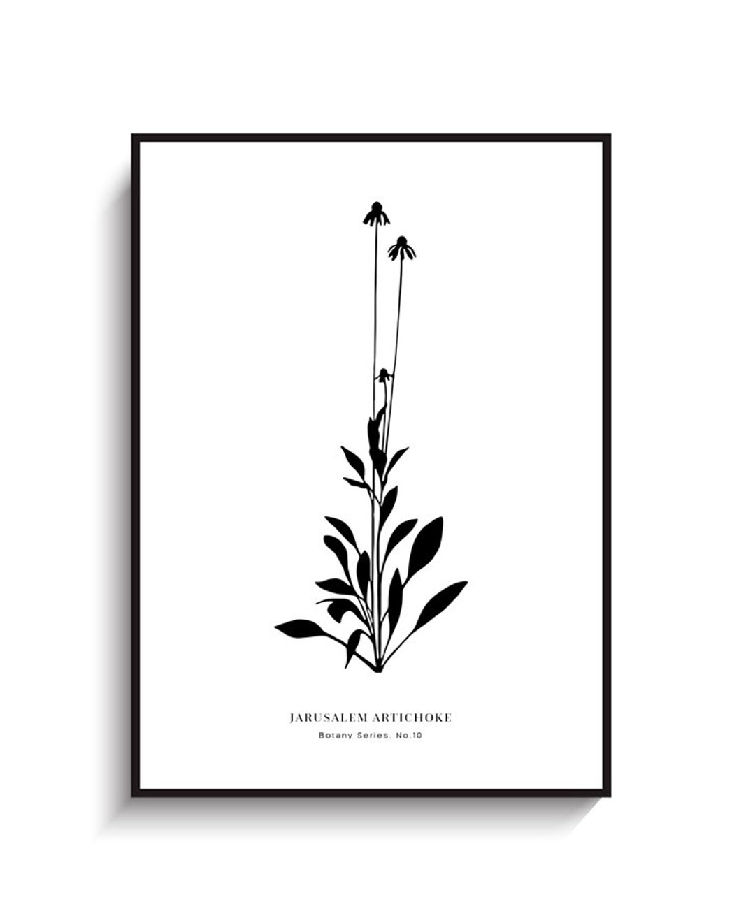Jerusalem Artichoke Plant Poster - PRINTABLE FILE. Graphic Illustration ...