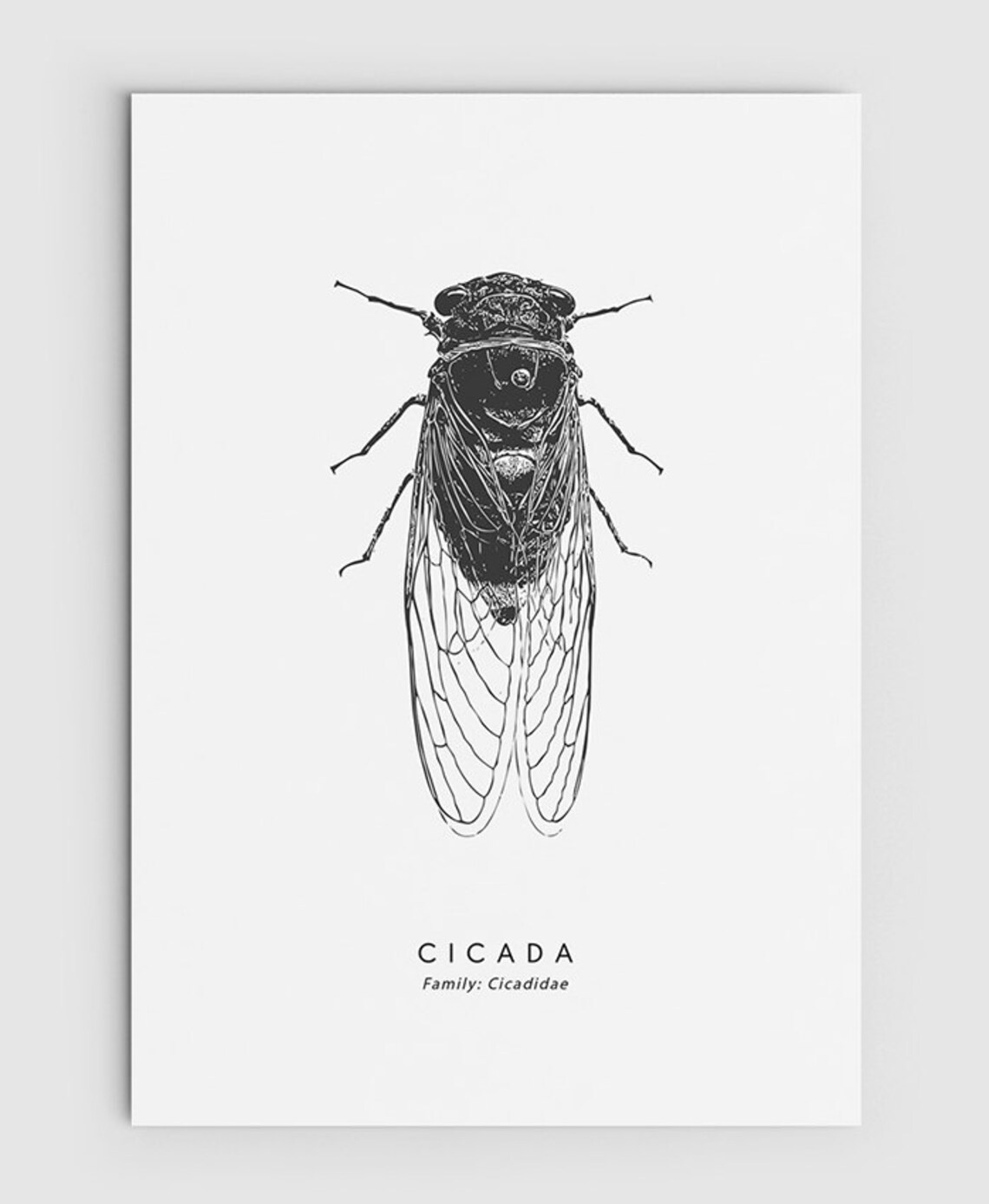Cicada Insect Art PRINTABLE FILE. Modern Vintage Cicada - Etsy