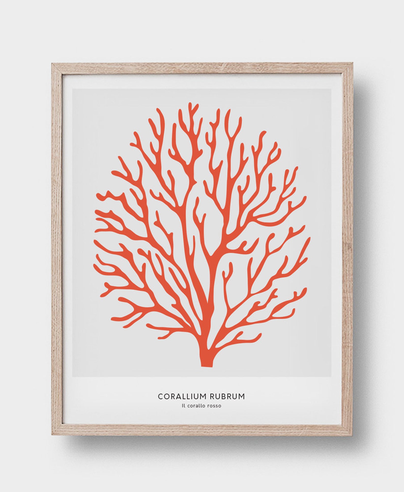 Red Coral Poster. Sea Coral Print. Coral Illustration. Marine Beach ...