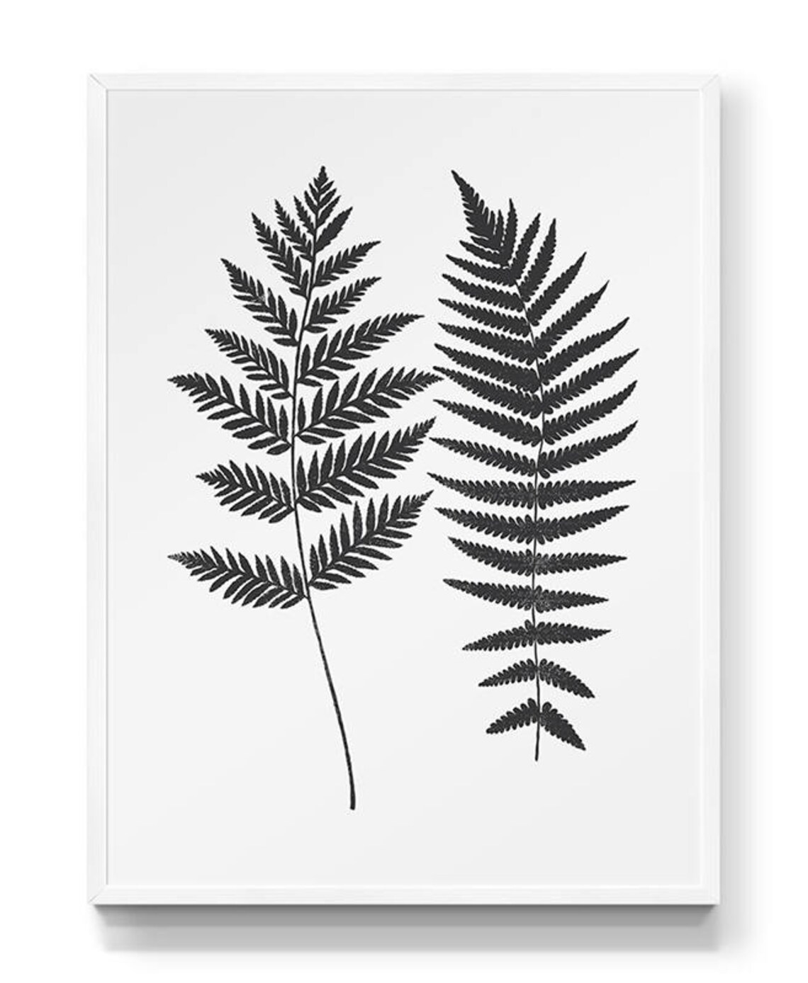 Fern Leaf PRINTABLE FILE. Graphic Plant Print. Botanical - Etsy