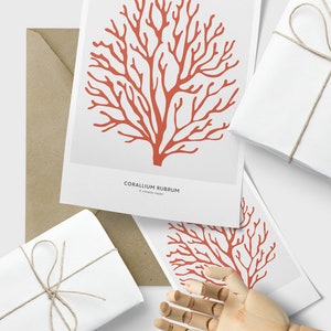 Red Coral Poster. Sea Coral Print. Coral Illustration. Marine Beach ...