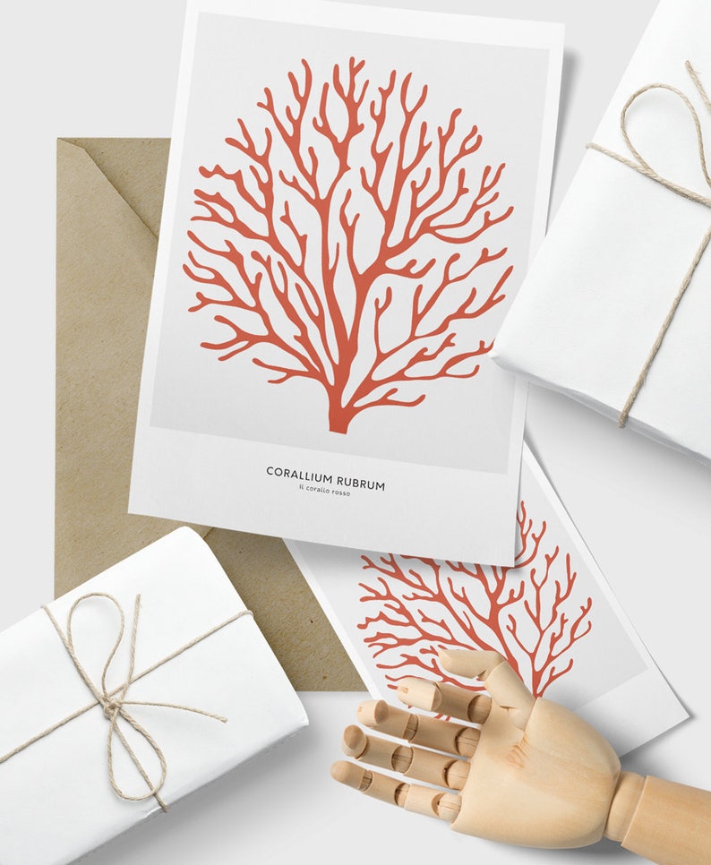 Red Coral Poster. Sea Coral Print. Coral Illustration. Marine Beach ...