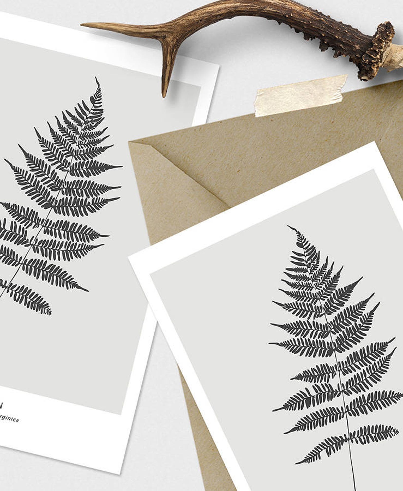 Fern Leaf Print. Botanical Illustration. Grey White Wall | Etsy
