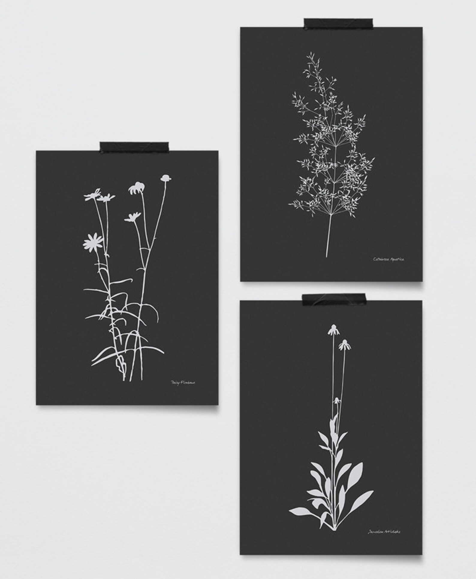 Botanical Print Set of 3. Black Background Modern Posters. Floral ...
