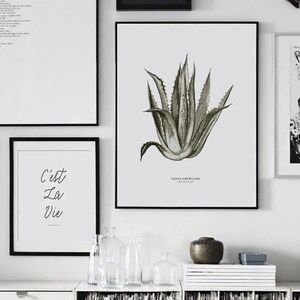 Large Agave Poster - PRINTABLE FILE. Oversized Botanical Poster. Nordic ...