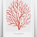 Red Coral Large Poster - PRINTABLE FILE. Red Sea Coral Print. Coral ...