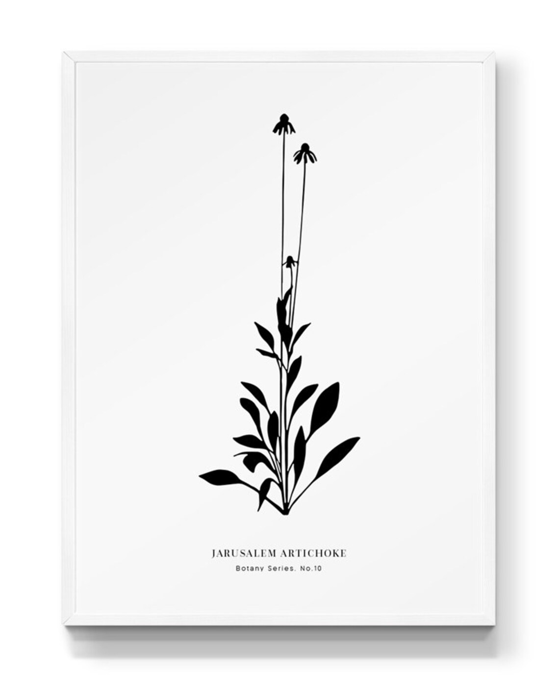 Jerusalem Artichoke Plant Poster - PRINTABLE FILE. Graphic Illustration ...