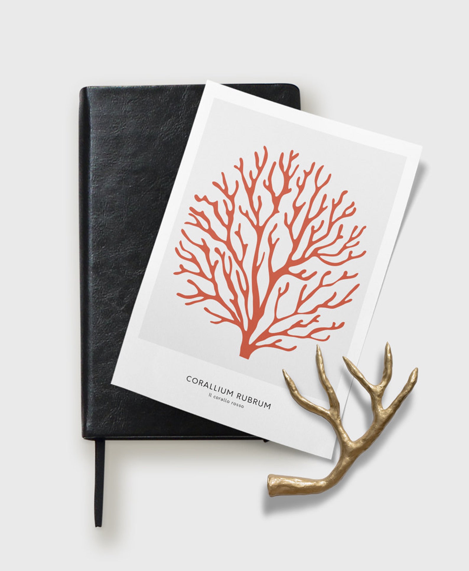 Red Coral Poster. Sea Coral Print. Coral Illustration. Marine Beach ...