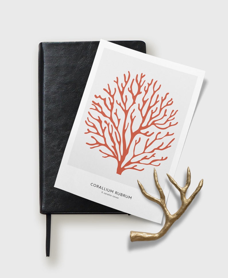 Red Coral Poster. Sea Coral Print. Coral Illustration. Marine Beach ...