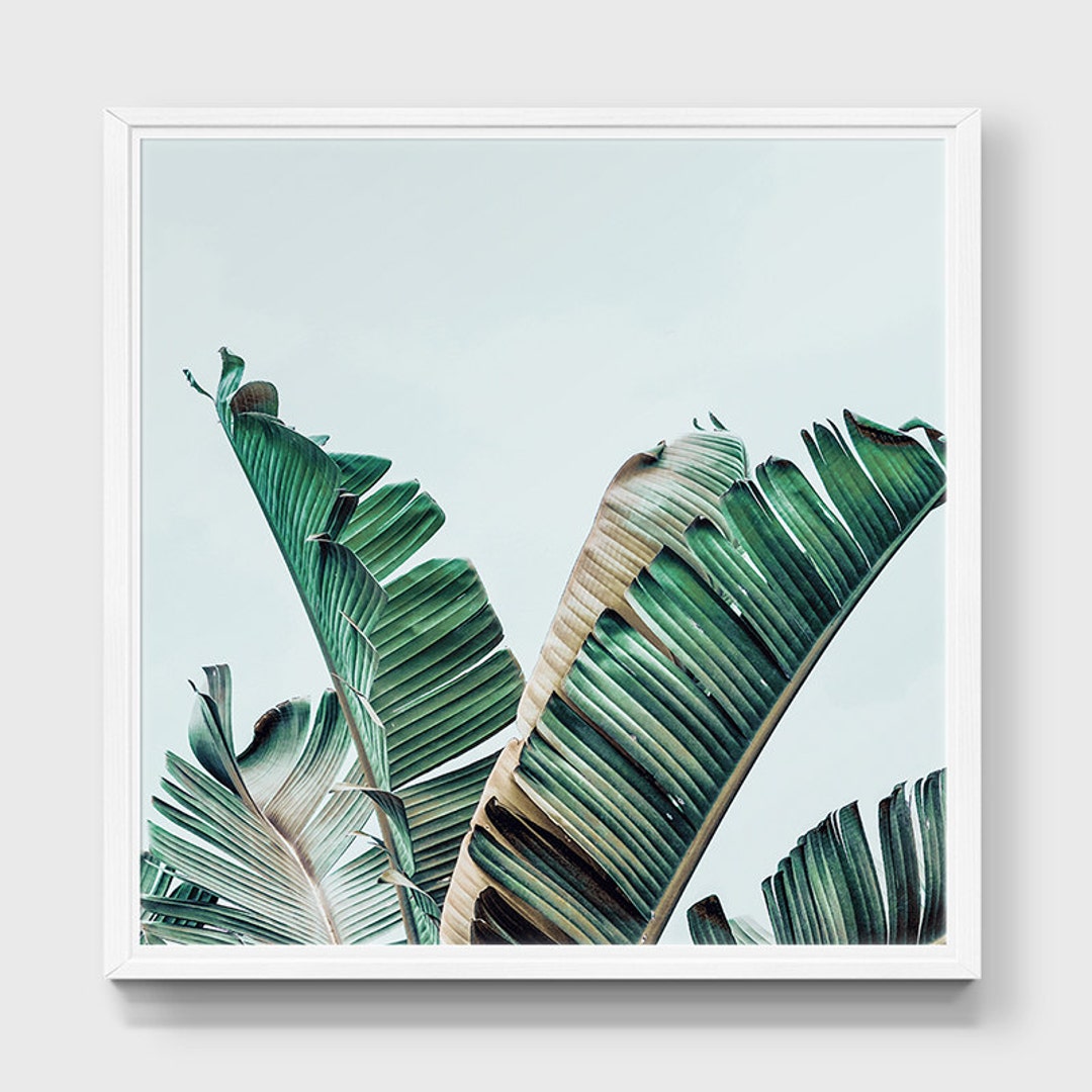 Banana Leaf Print – PRINTABLE FILE. Leaf Photography. Botanical Wall ...
