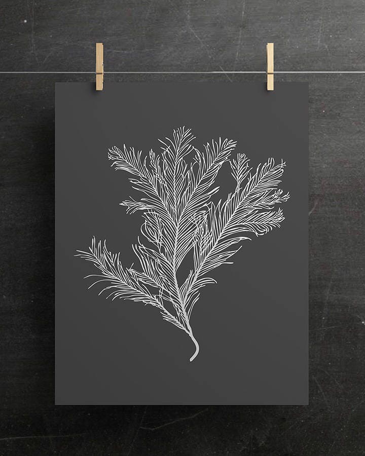 Plant Leaf Wall Art PRINTABLE FILE. Leaf Poster. Botanical - Etsy UK