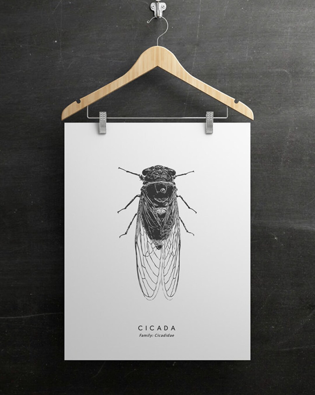 Cicada Insect Art - PRINTABLE FILE. Modern Vintage Cicada Poster ...