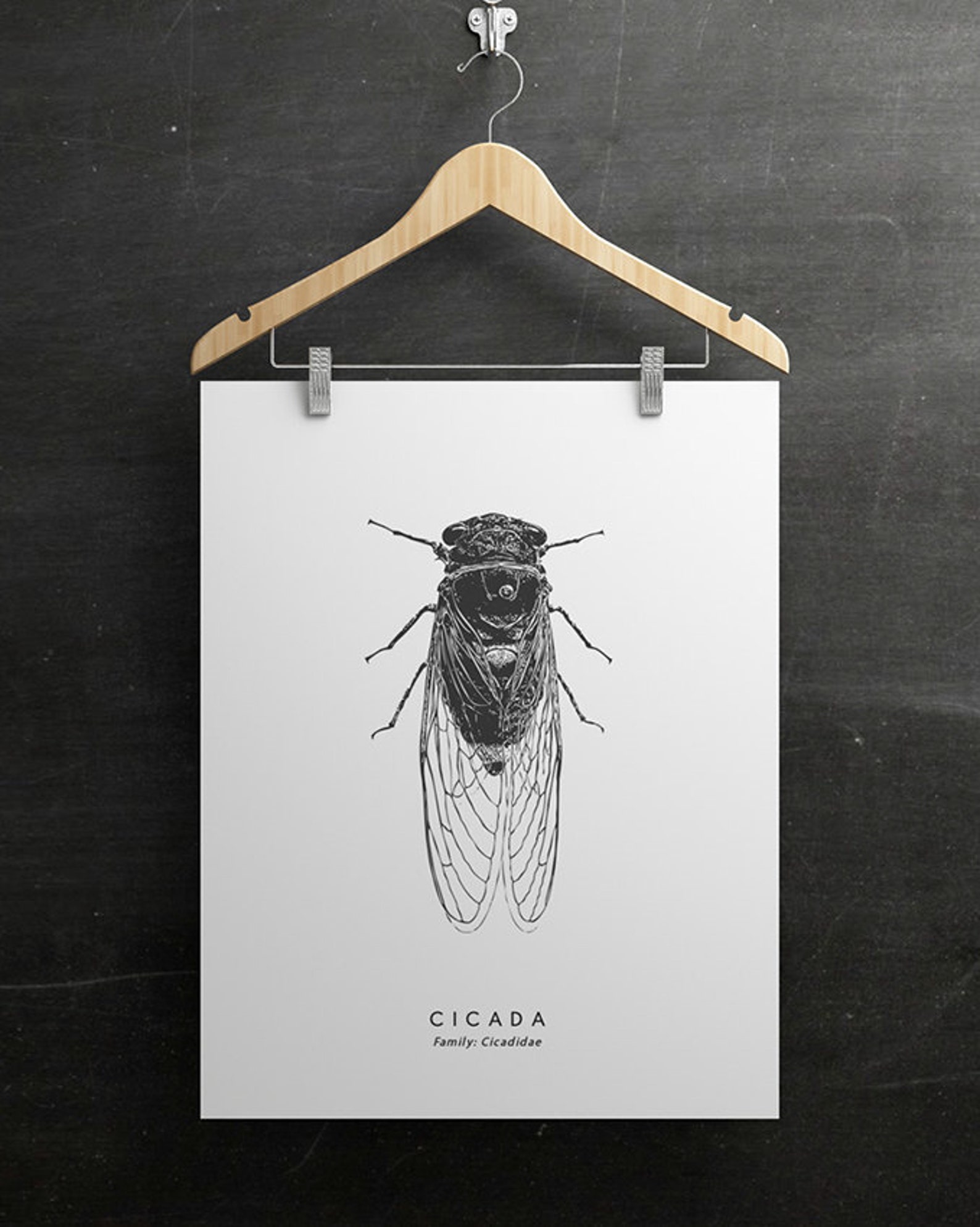 Cicada Insect Art PRINTABLE FILE. Modern Vintage Cicada Poster ...