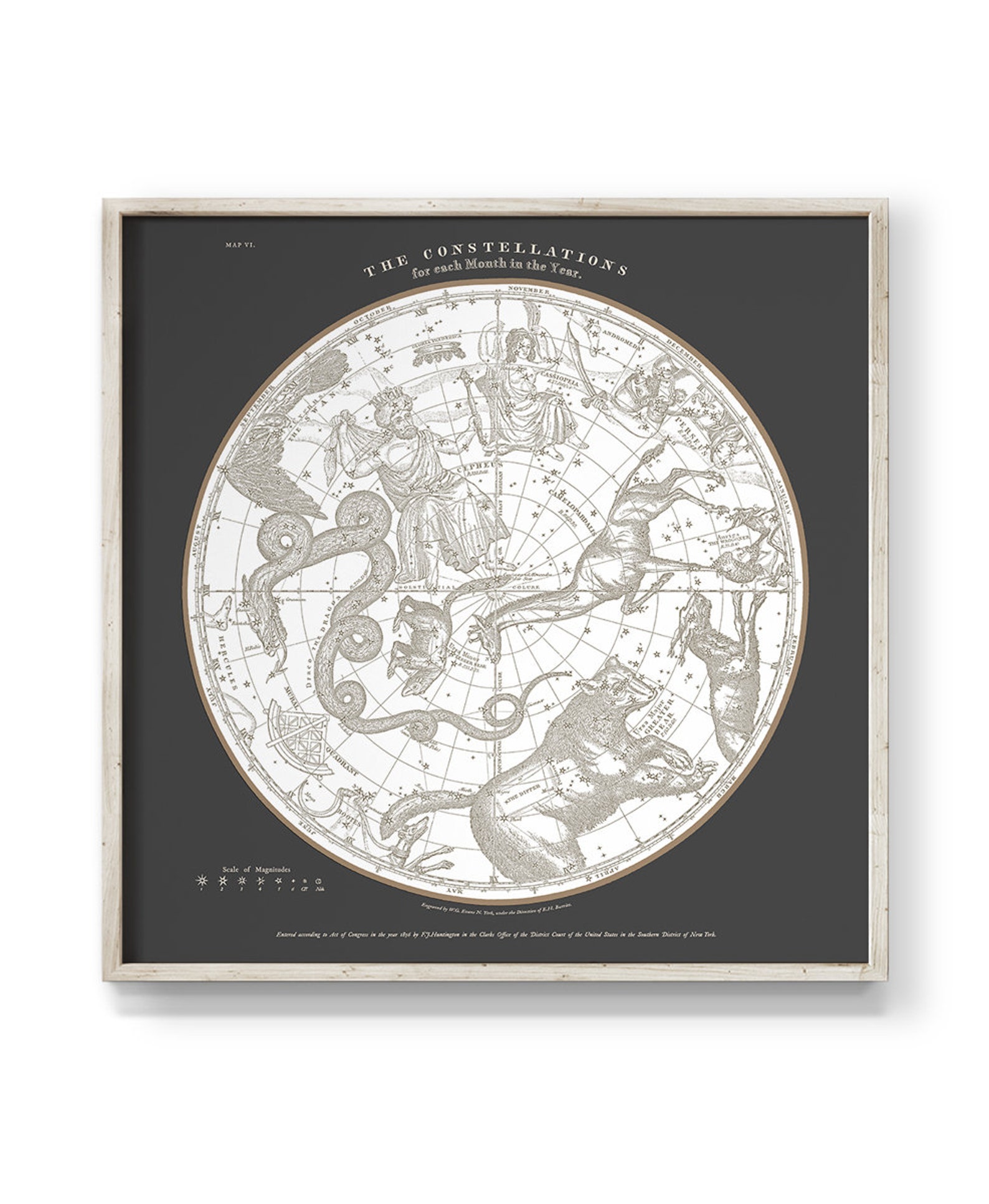 Constellation Posters. Modern Vintage Southern and Northern | Etsy