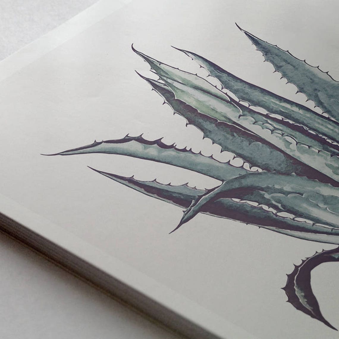 Agave Poster. Succulent Print. Botanical Poster. Flower Illustration ...
