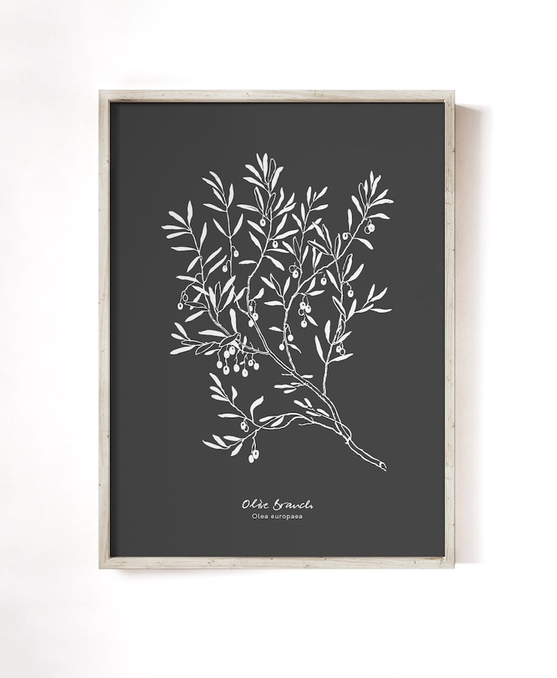 Olive Branch Wall Art. Olive Branch Print. Boho Poster. Monochrome Art ...