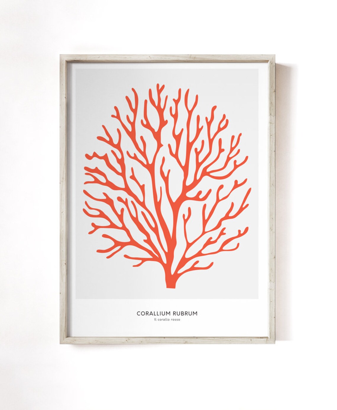 Red Coral Poster. Sea Coral Print. Coral Illustration. Marine - Etsy