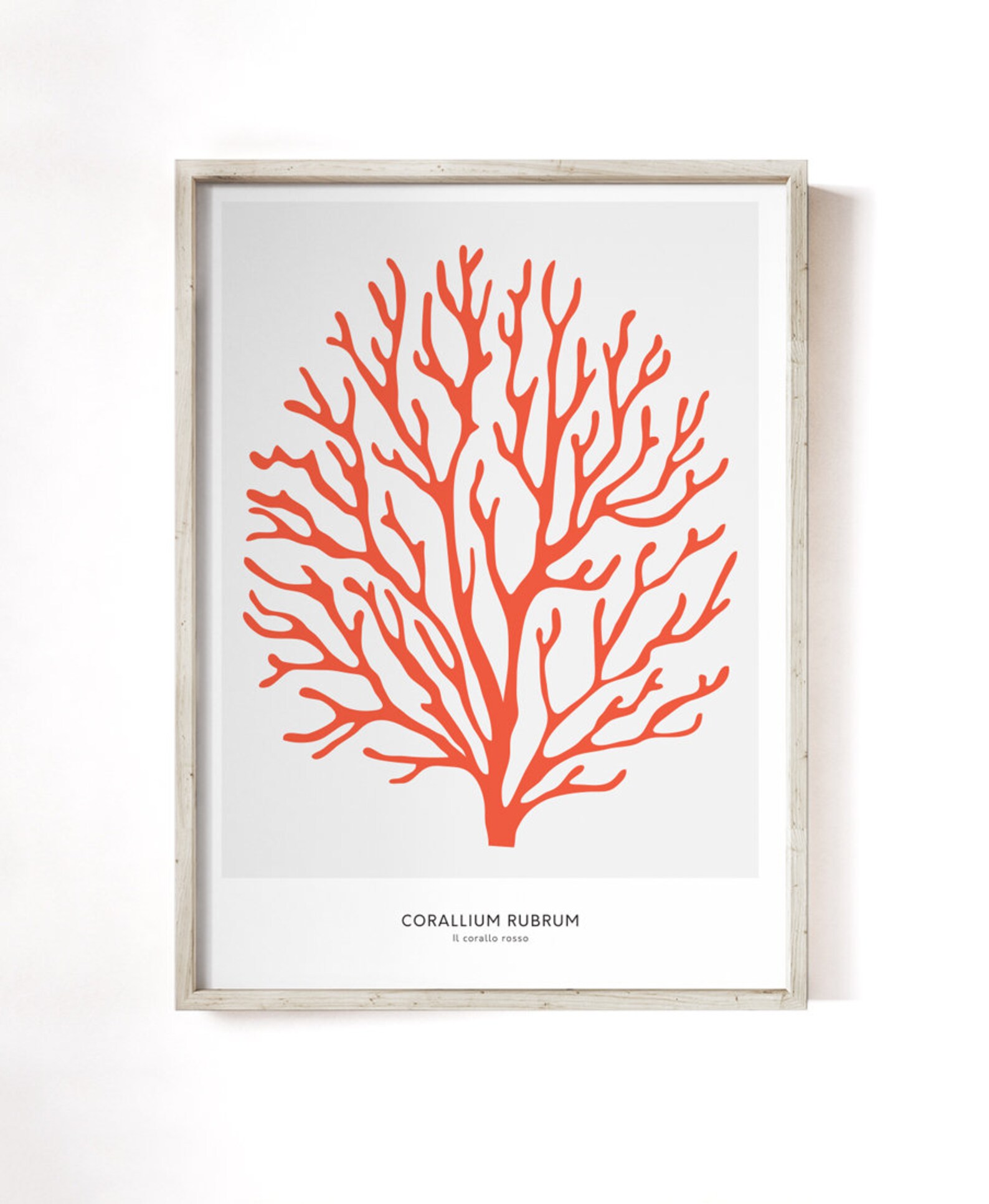 Red Coral Poster. Sea Coral Print. Coral Illustration. Marine Beach ...