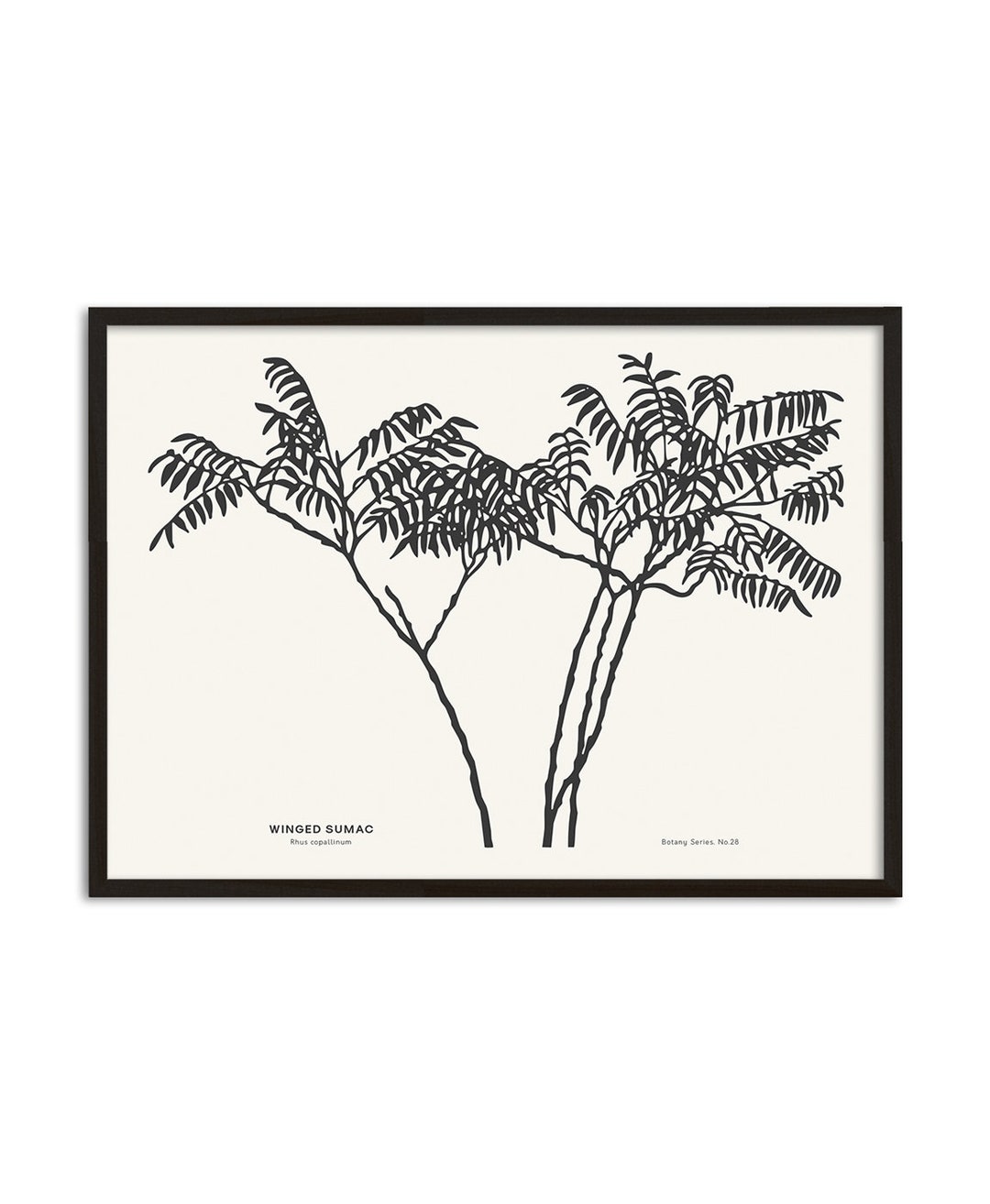 Sumac Leaves Print. Branch Art. Botanical Minimalist Poster. Plant ...