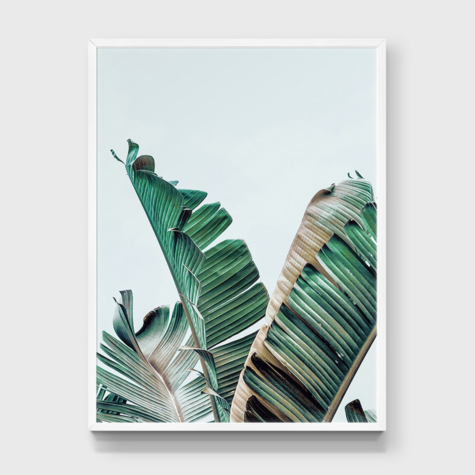 Banana Leaf Print PRINTABLE FILE. Leaf Photography. | Etsy